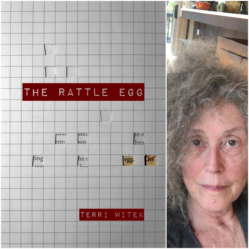The Rattle Egg by Terri Witek - Terri Witek
